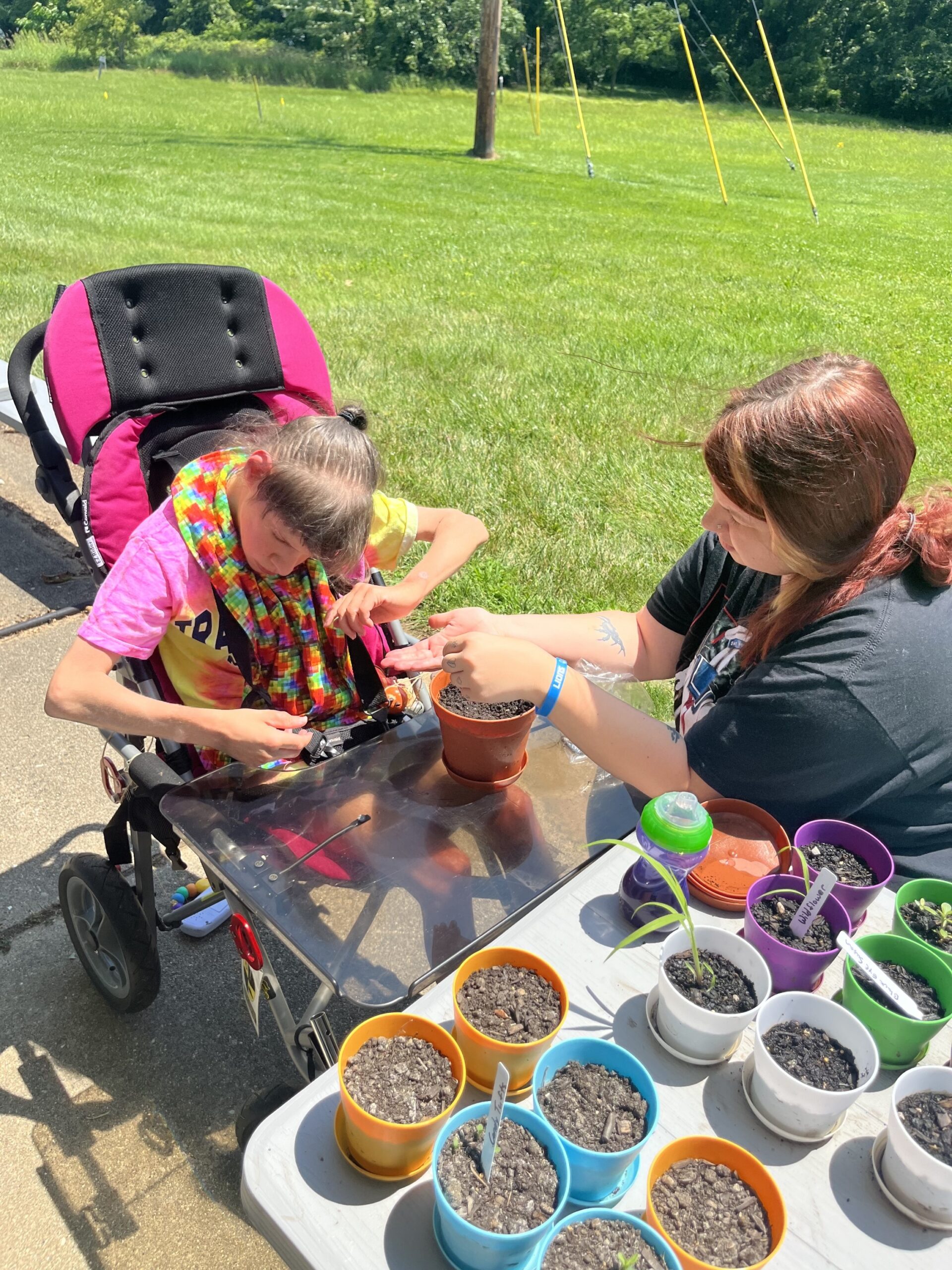 Nonprofit Spotlight: Dutton Farm